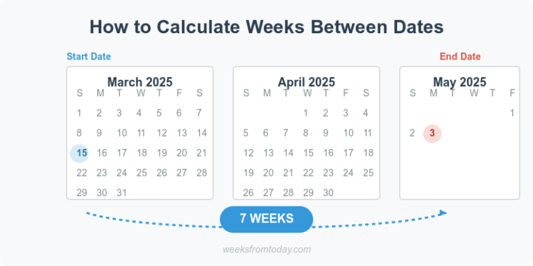 How to Calculate Weeks Between Dates? Complete Guide [2025]